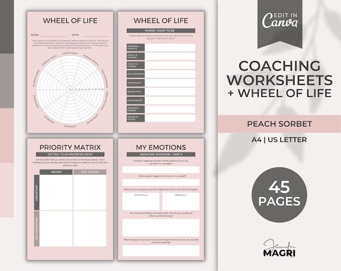 Wheel of Life Worksheets Editable Canva Template Life Balance Wheel ...