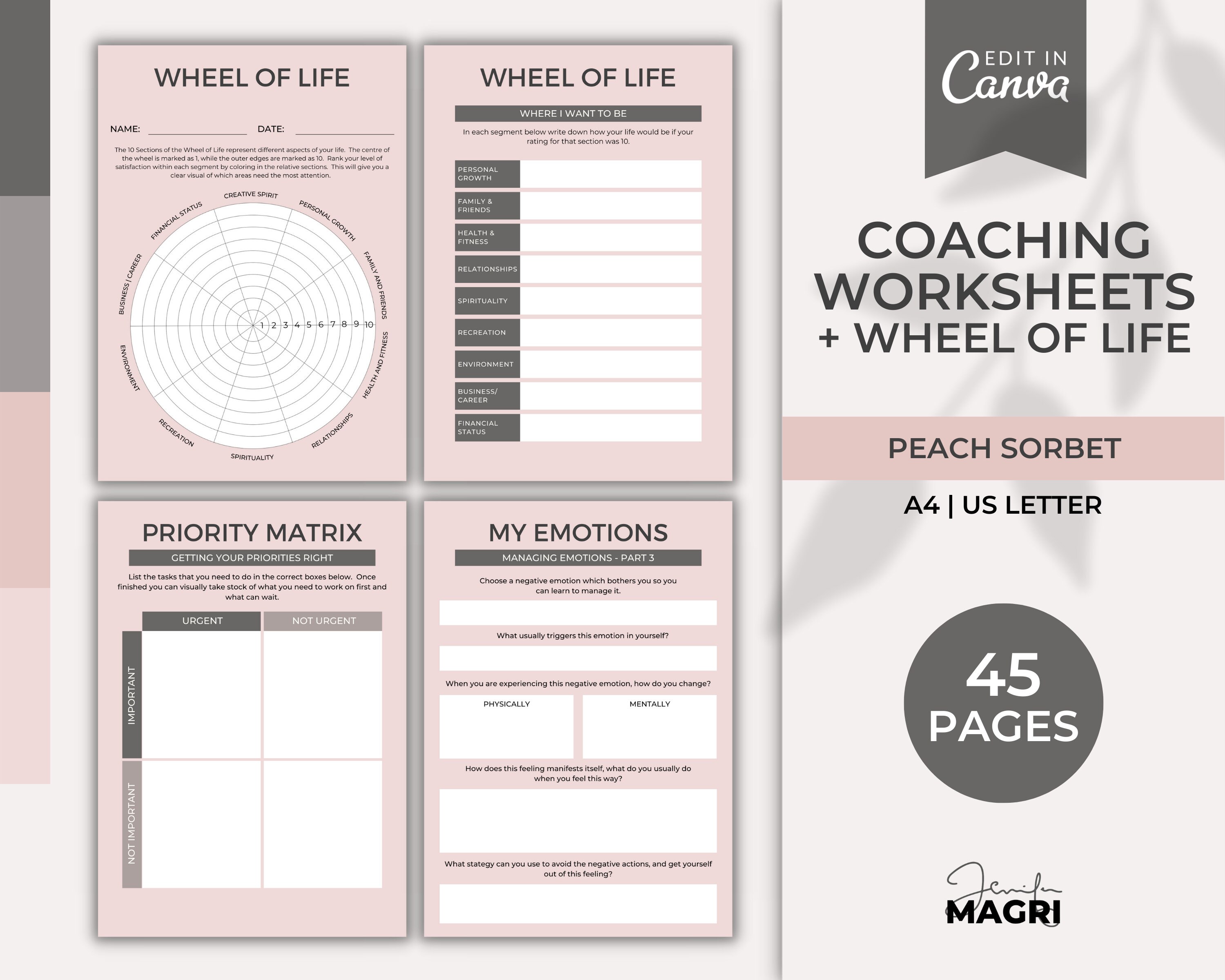 Wheel of Life Worksheet Template, Coaching Worksheets, Canva Template ...