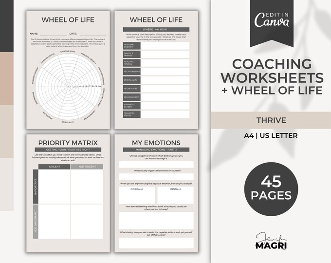 Wheel of Life Worksheets Editable Canva Template | Life Balance Wheel ...