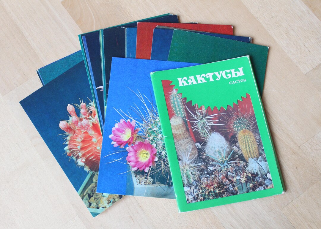 CACTUS_ 24 Cards Vintage/ 24 Color Cards With Cactus Photos/ Russian ...