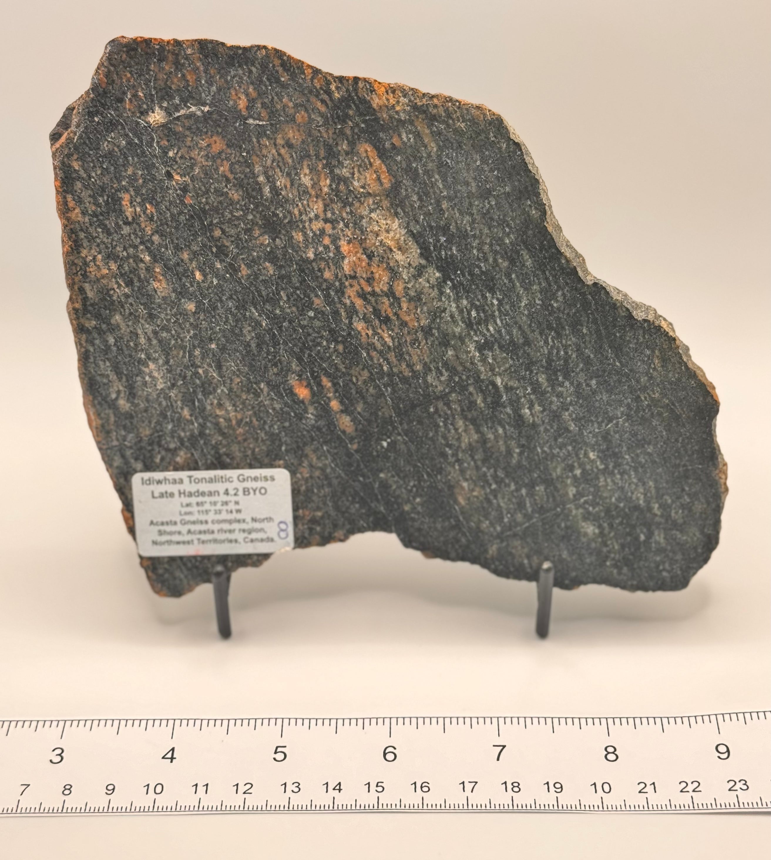 Acasta Gneiss Oldest Known Rock in the World - Etsy