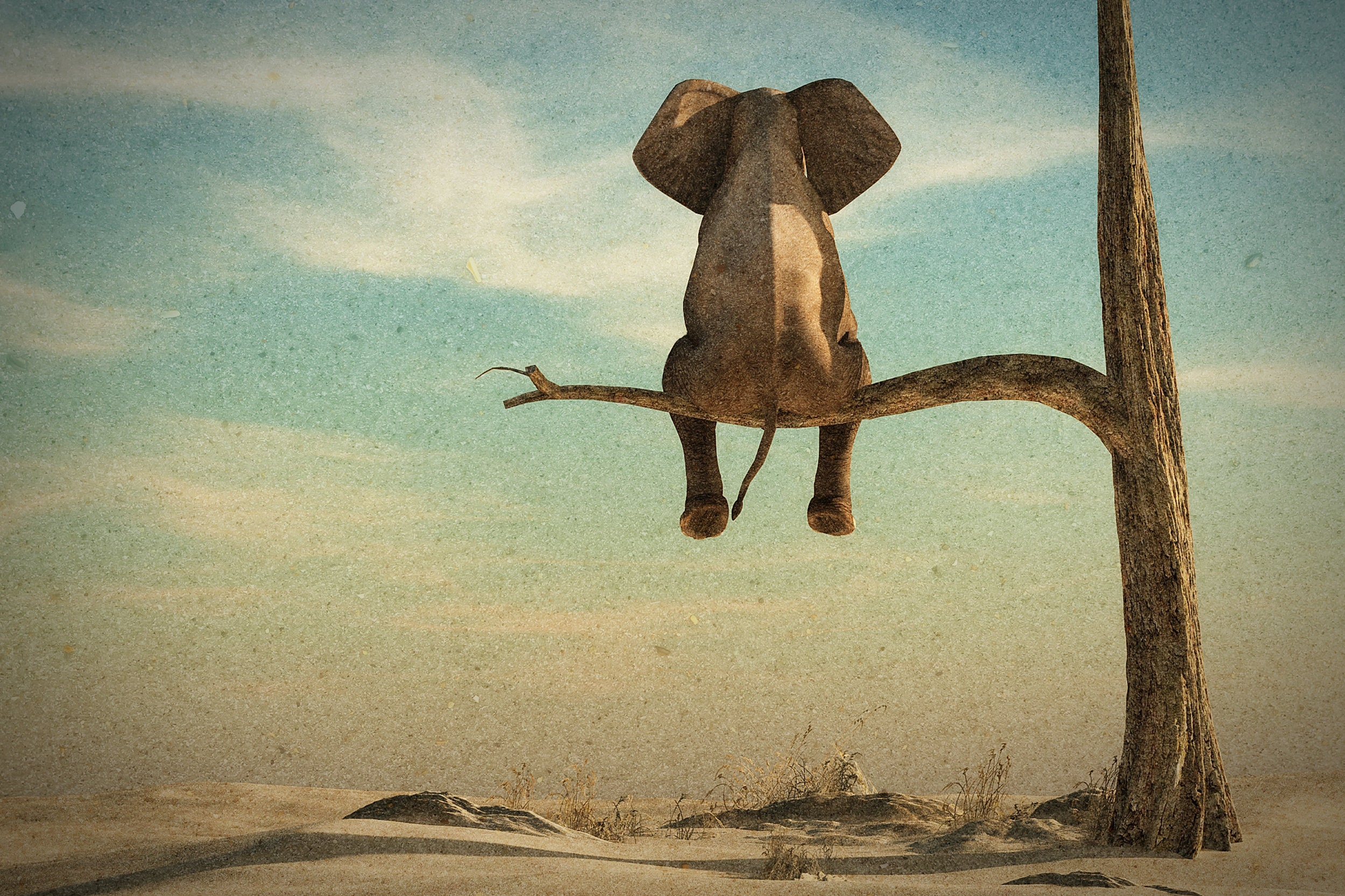 Beach Textures Bundle 0001 | Digital Paper, Collage, Texture, Overlay ...