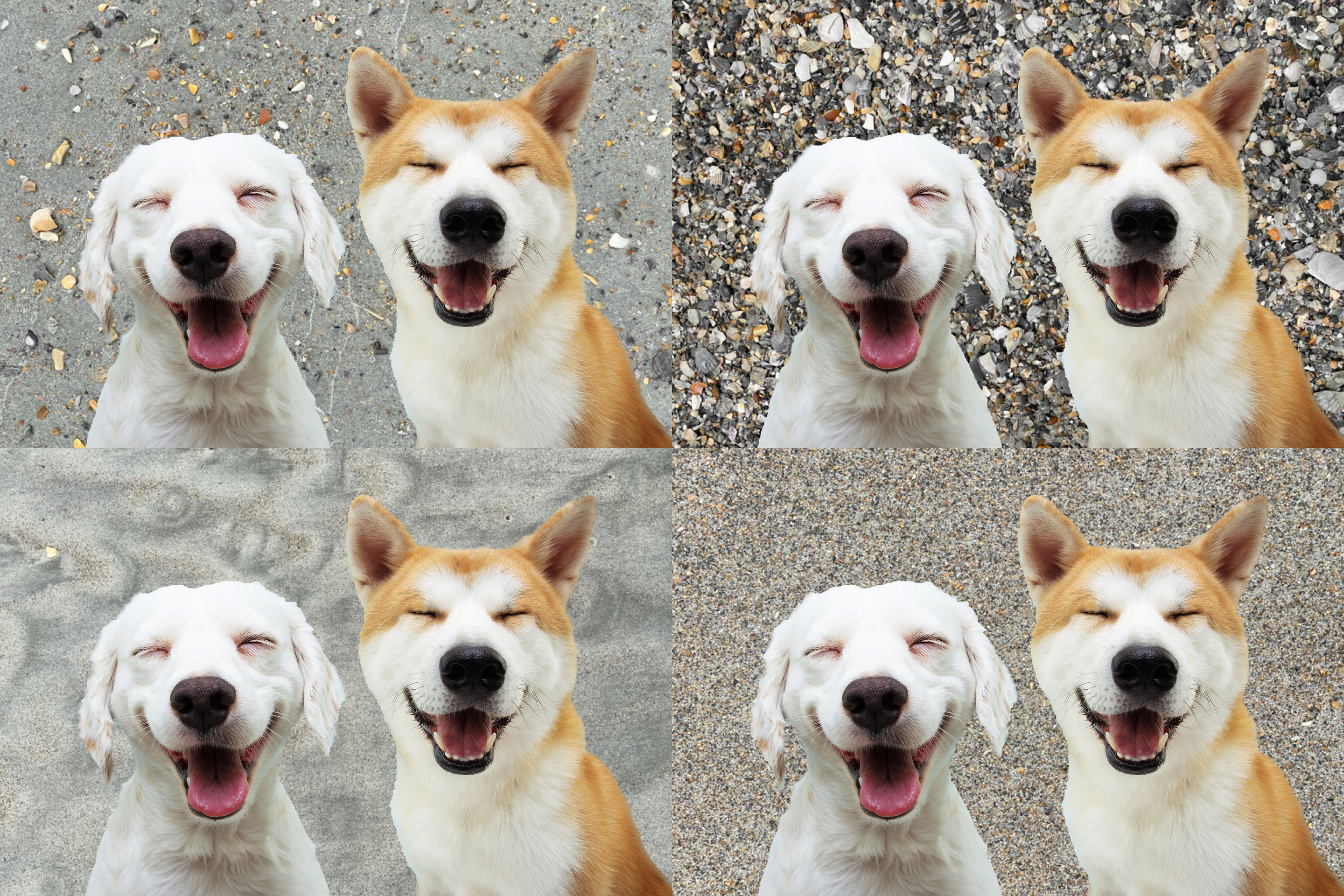 Beach Textures Bundle 0001 | Digital Paper, Collage, Texture, Overlay ...