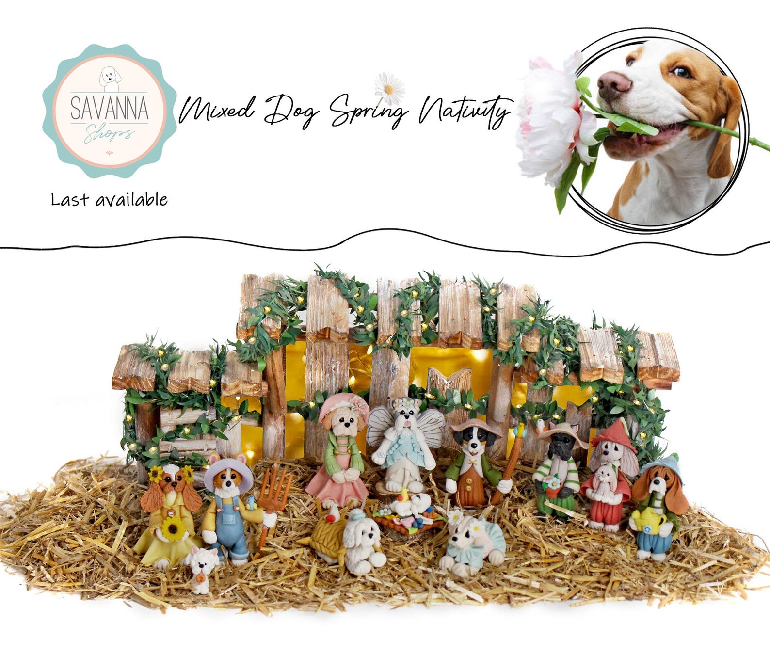 Handmade Dog Nativity Set: Mixed Breed Spring Theme - Etsy