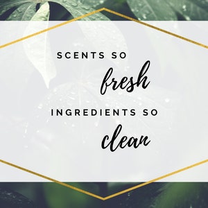 Hello Gorgeous, Hand Poured 8oz Soy Candle, Wax Melts, Damon, Enzo ...