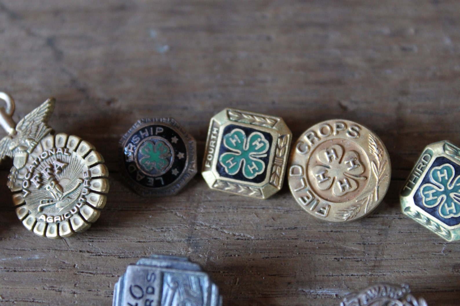 4-H and FFA pins metal pins 4-H Club pins Future Farmers of | Etsy