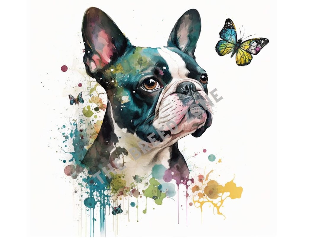 Boston Terrier Watercolor Digital Art, Boston Terrier Clipart, Dog Wall ...