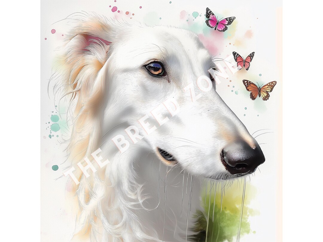 Borzoi Watercolor Digital Art, Borzoi Clipart, Dog Wall Art, PNG Image ...