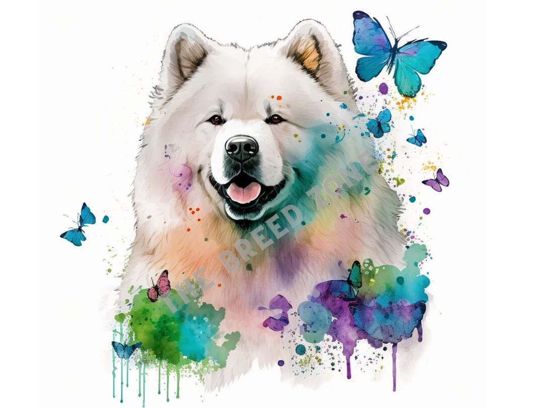 Samoyed Watercolor Digital Art, Samoyed Clipart, Dog Wall Art, PNG ...
