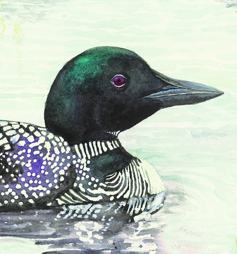 Loon Love Card, Loon, Lake, Fowl, Water, Watercolor, Art Print - Etsy
