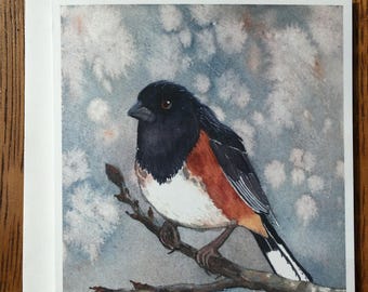 Spotted Towhee Greeting Card With Envelope, Spotted Towhee Bird Card ...