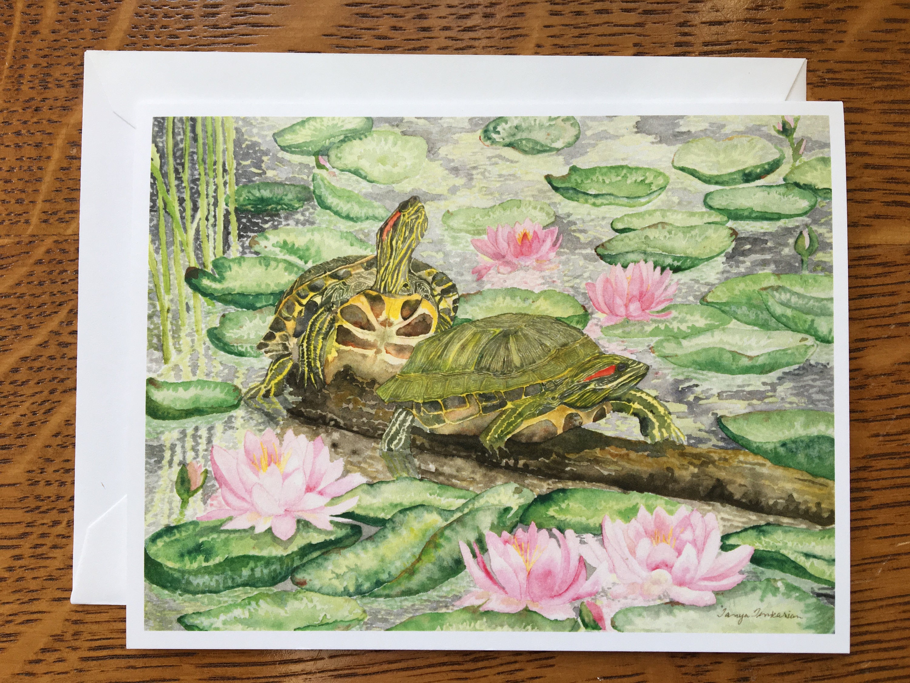 Turtle Watercolor Art Print, Basking Turtles and Lilies, Audubon Series ...