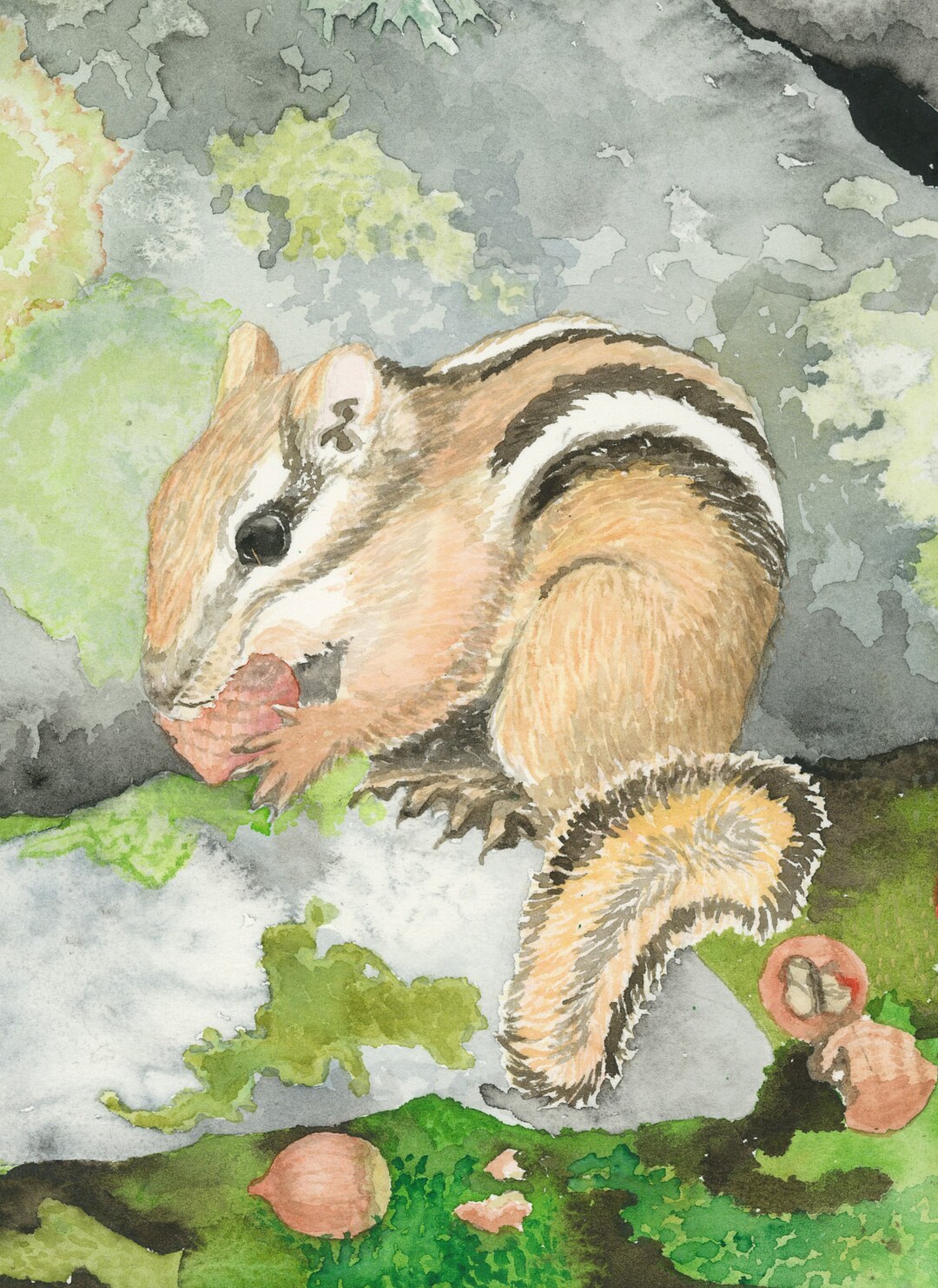 Chipmunk Wonderland, Art Print, Woodland, Watercolor, Audubon Series - Etsy