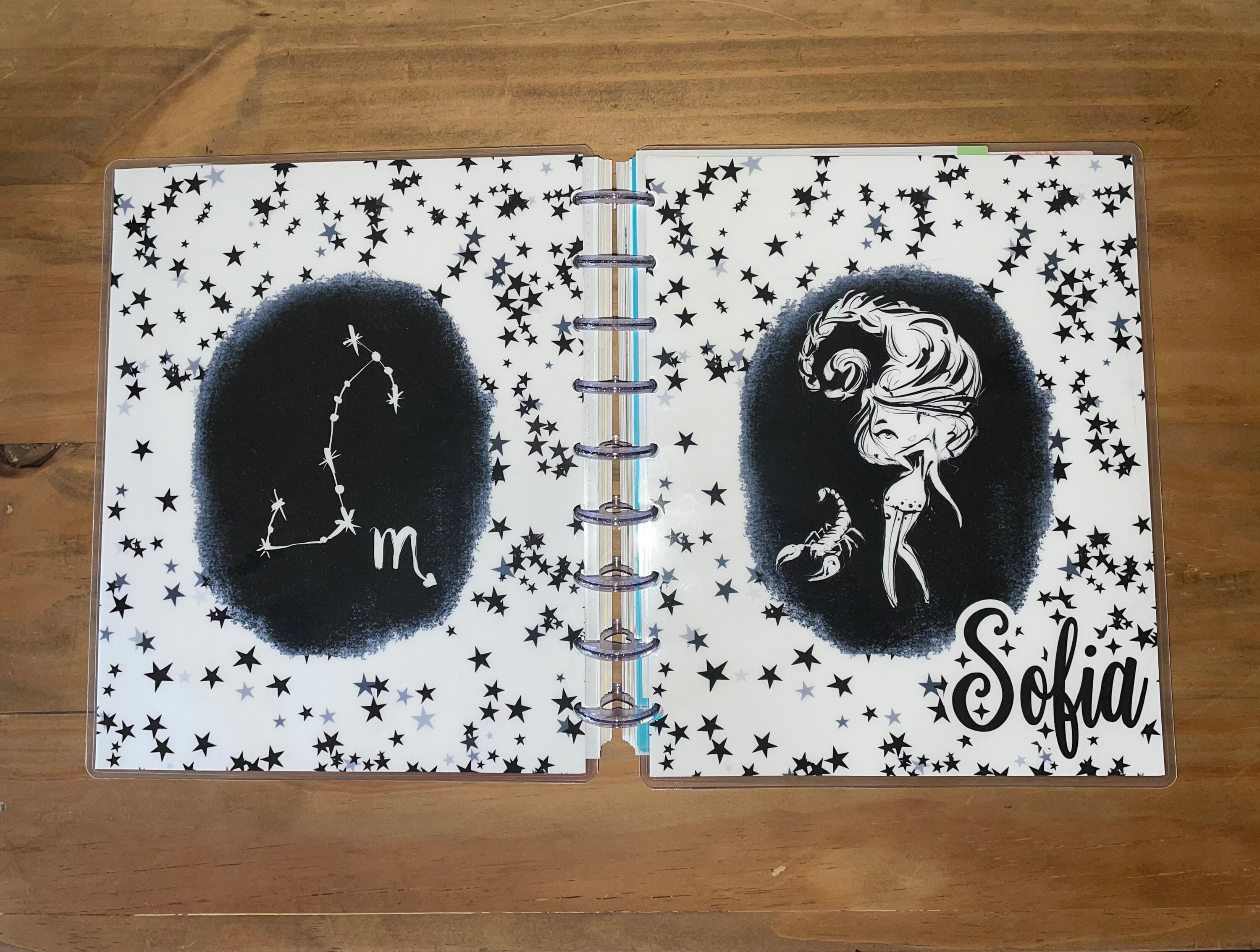 Celestial Zodiac Sign Planner Covers. Mini and Classic Happy Planner ...