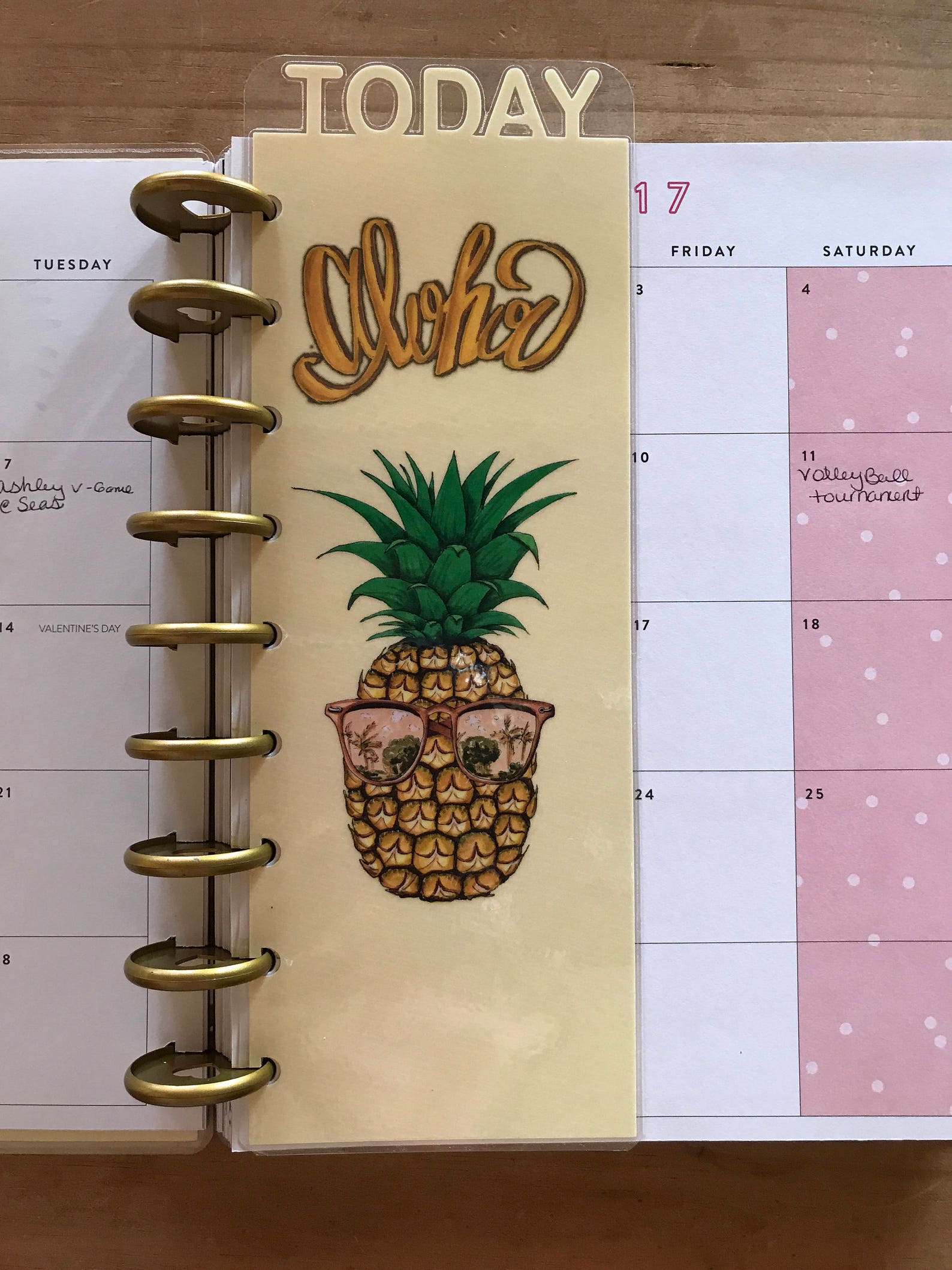 Summer Tropical Happy Planner Covers. Beach Pineapple Girl - Etsy