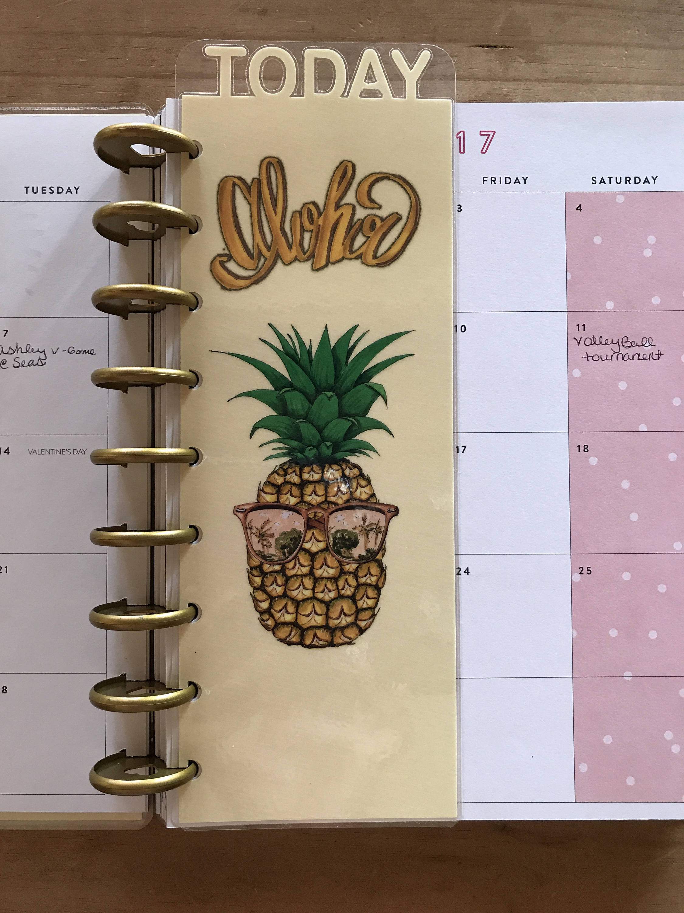 Summer, Tropical Happy Planner Covers. Beach, Pineapple, Girl, Floral ...