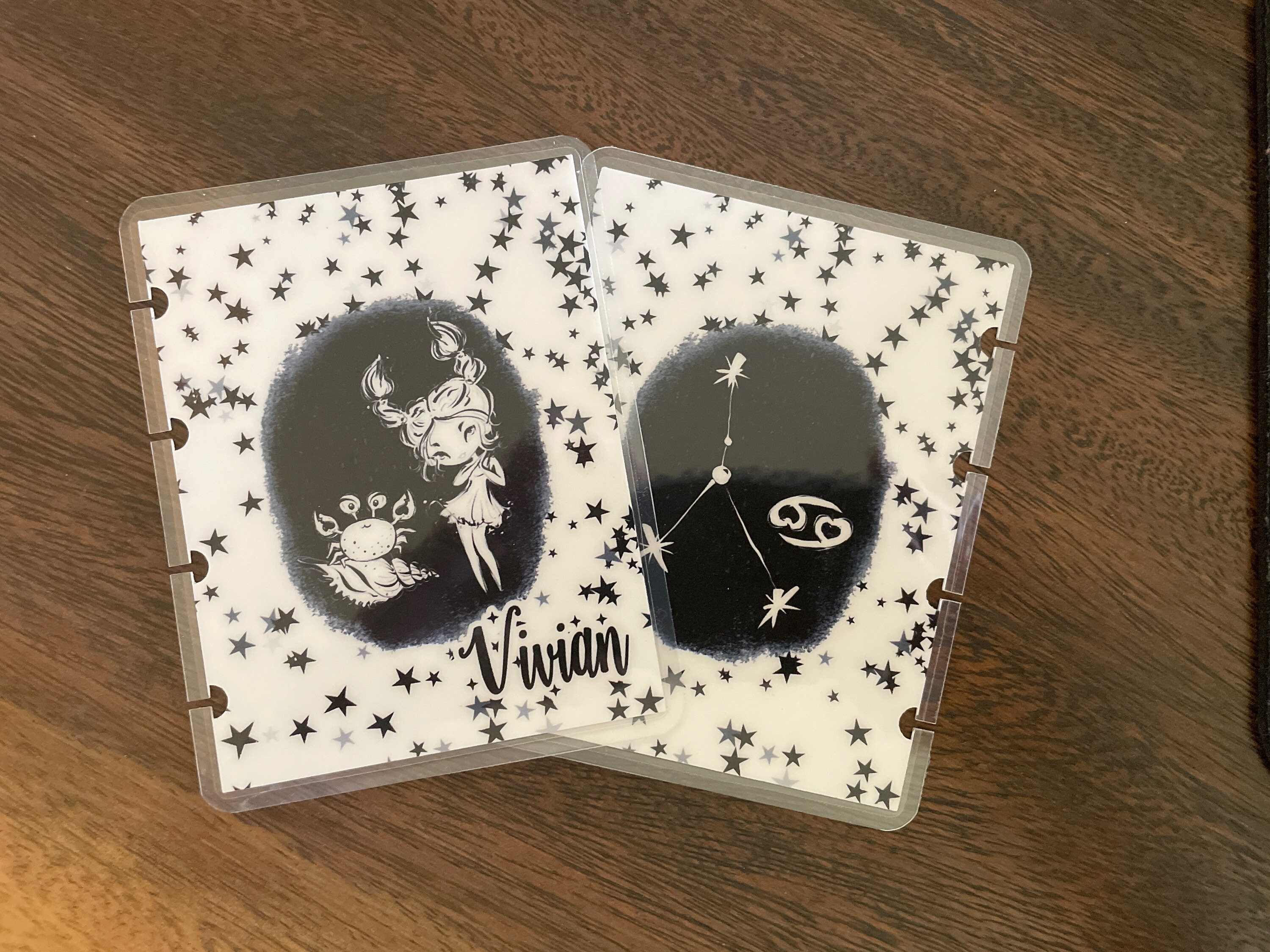 Celestial Zodiac Sign Planner Covers. Mini and Classic Happy Planner ...
