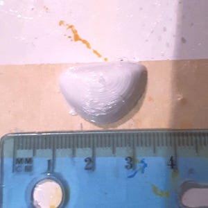 3D Printed Kemono Fursuit Nose - Etsy
