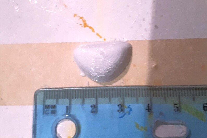 3D Printed Kemono Fursuit Nose - Etsy