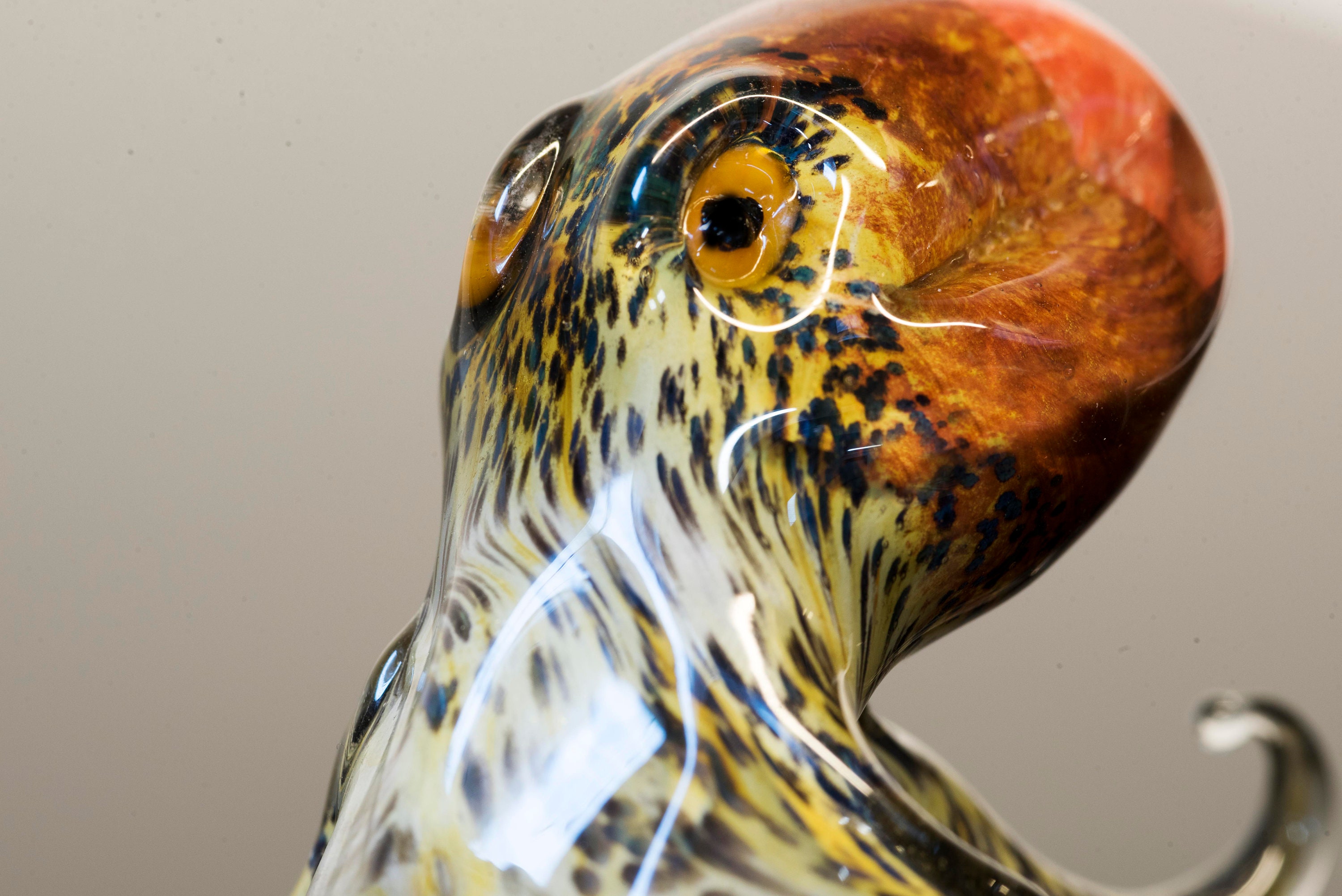 Octopus in Murano Glass. Realistic Realization in Glass Multicoloured ...