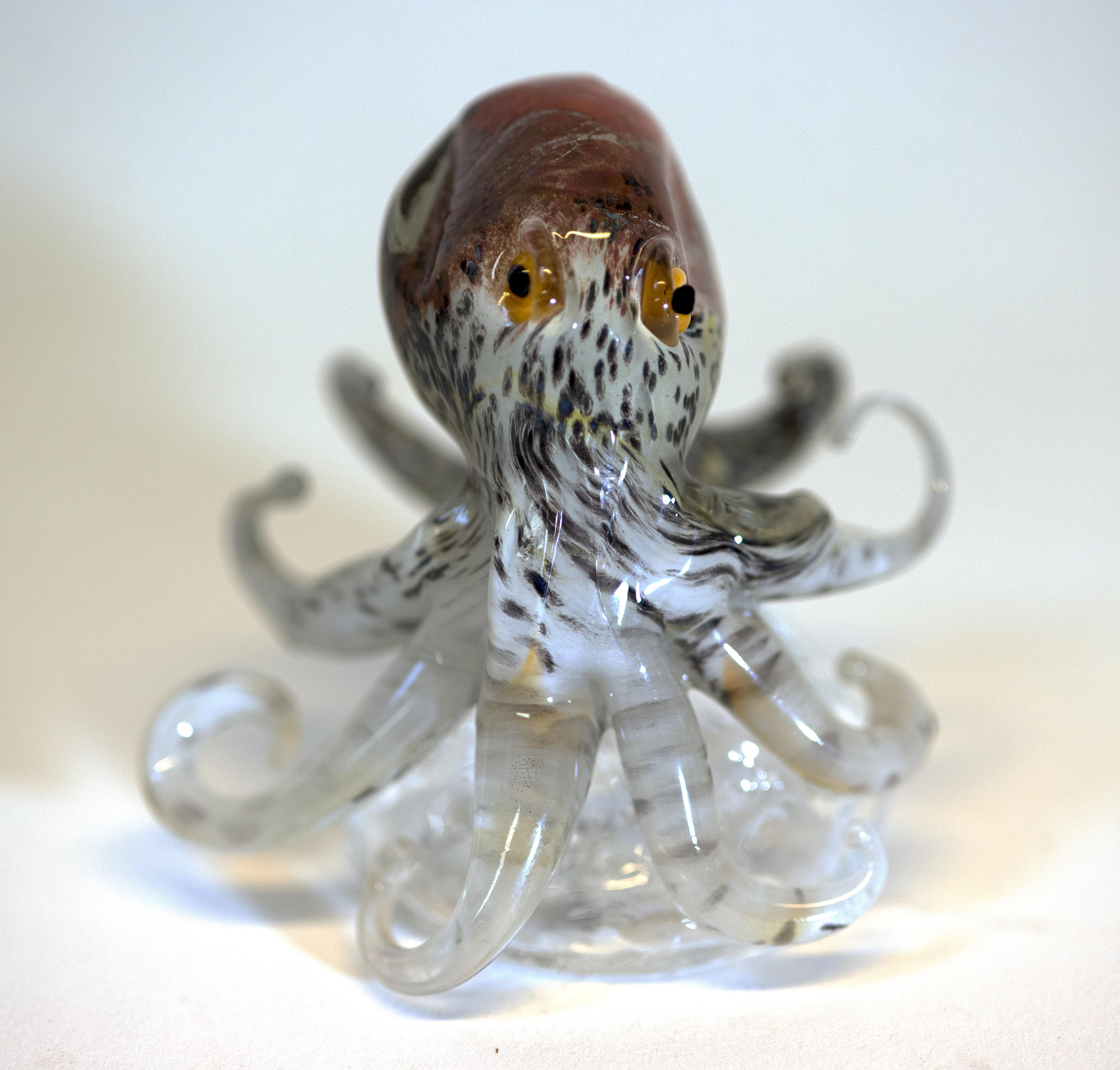 Octopus in Murano Glass. Realistic Realization in Glass Multicoloured ...