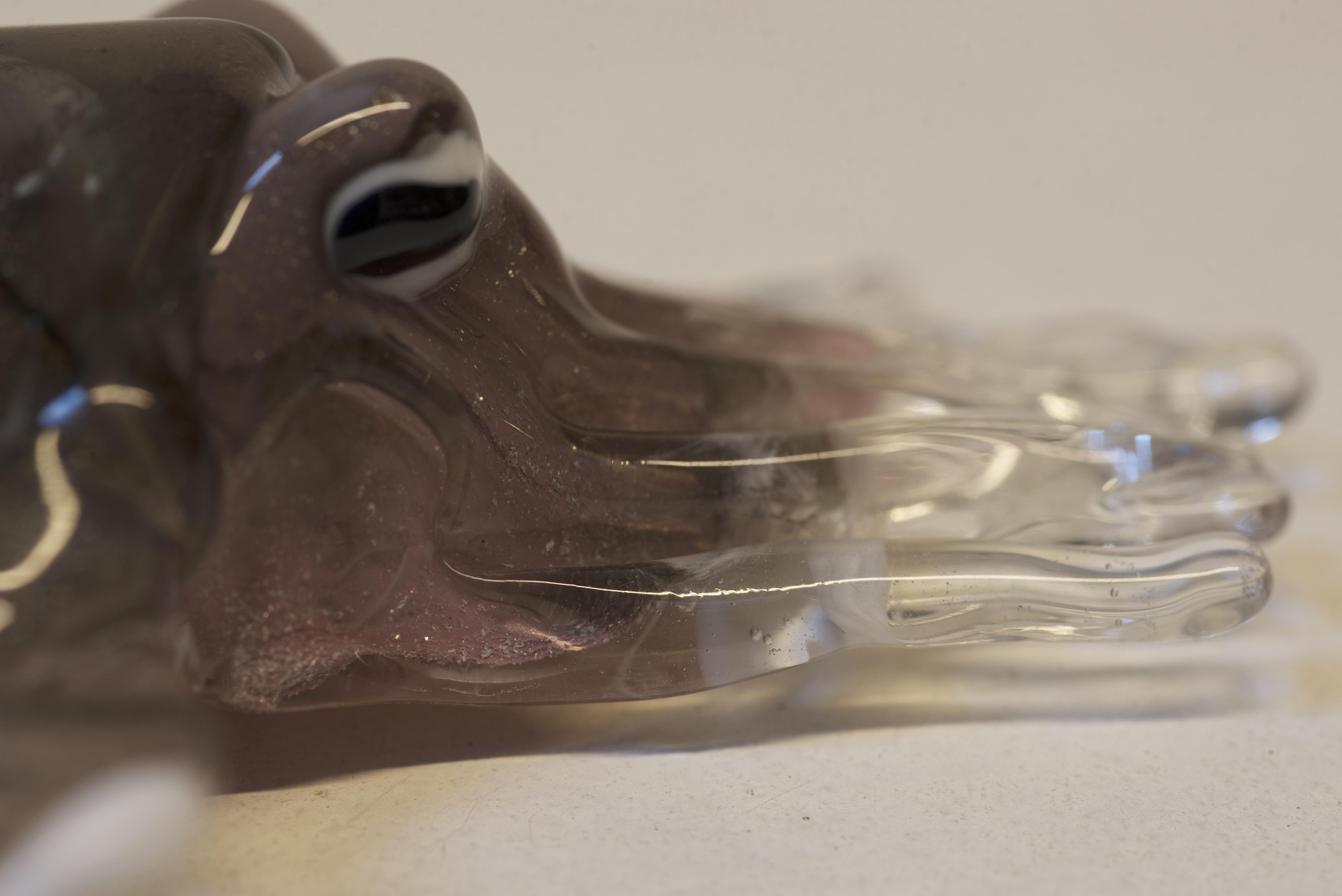 Sepia in Murano Glass. Realistic Realization in Glass - Etsy