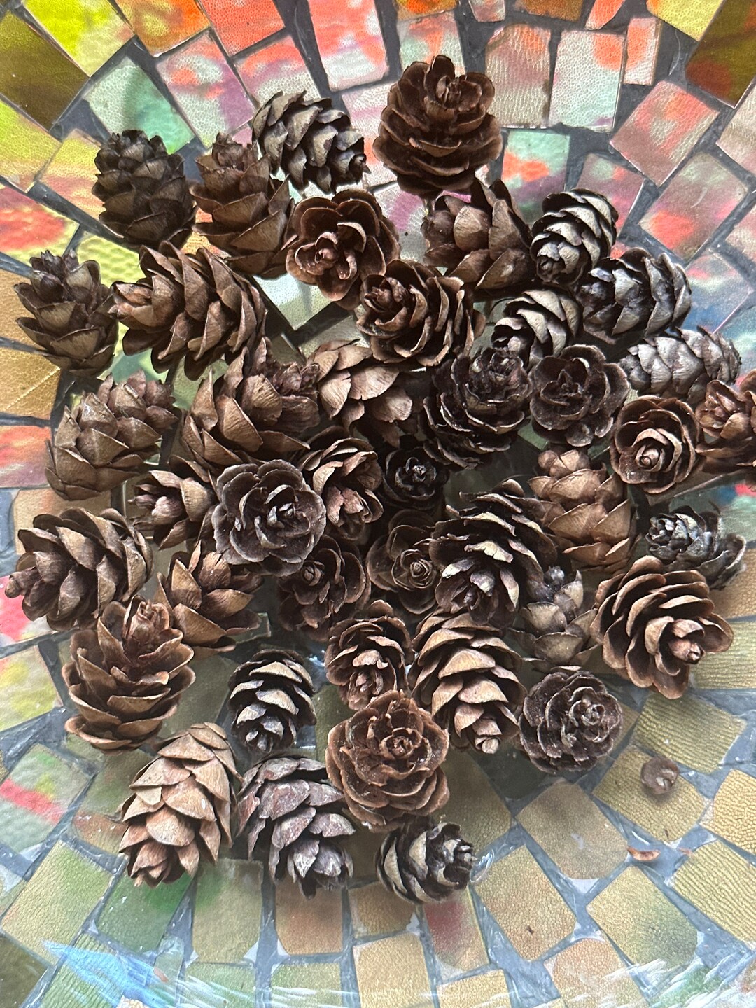 Tiny Pine Cones Miniature Pine Cones Mini Pine Cones for Crafts Rustic ...