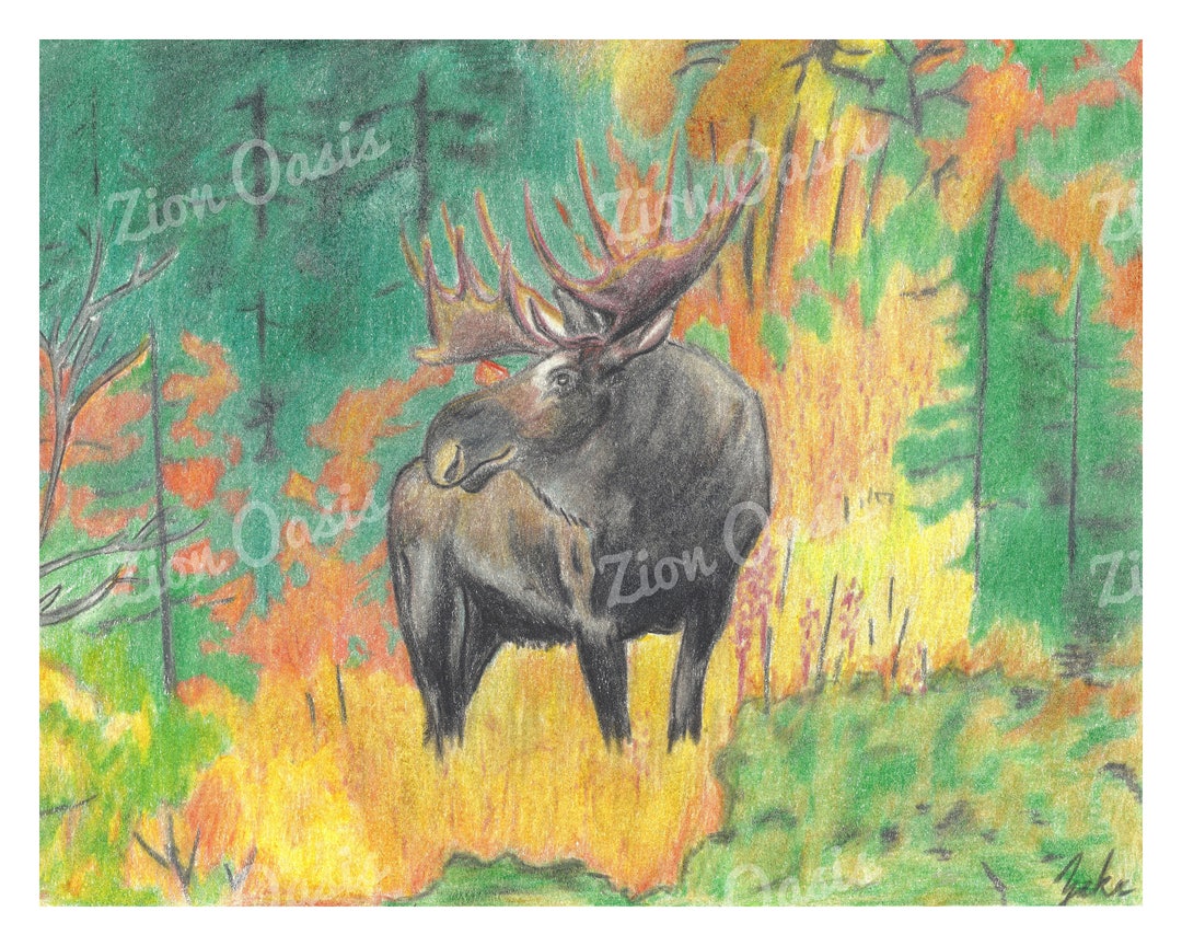 Moose Colored Pencil Picture Original Artwork by Ezekiel - Etsy