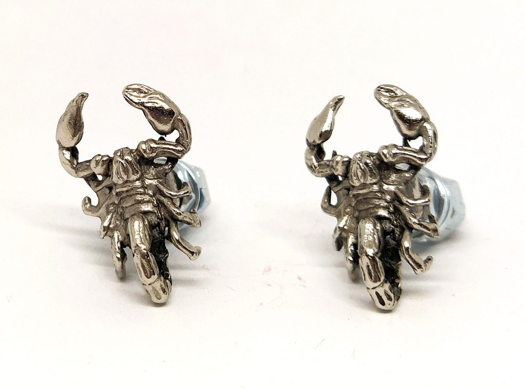 2 Metal License Plate Custom Boltsscorpionscrewwindshield - Etsy