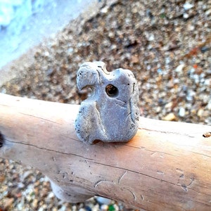 Handpicked Odin Stone - Genuine Adriatic Sea Hag Stone With Natural ...