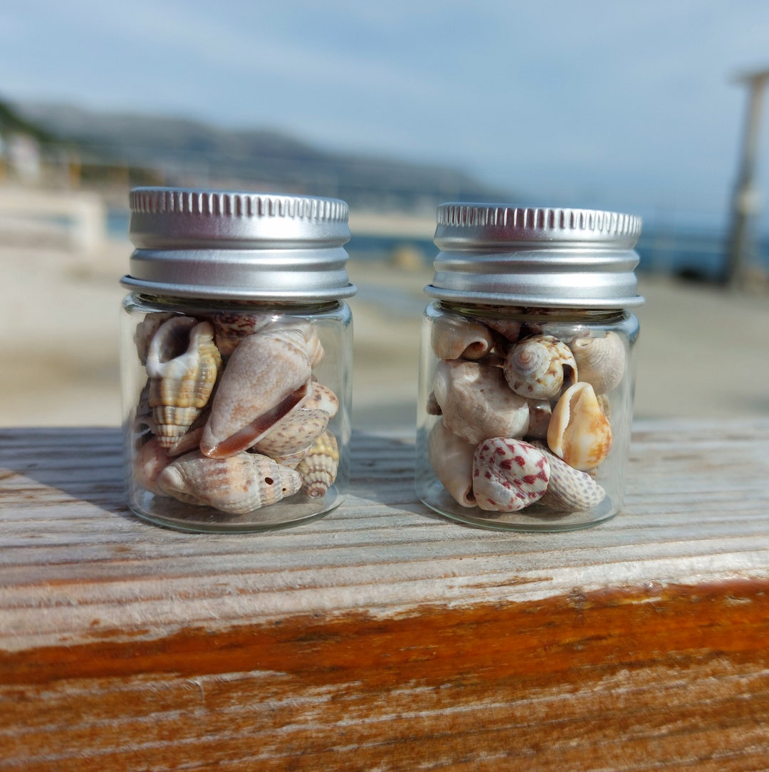 Genuine Tiny Sea Shells in the Bottle - Unique Art Supply From Adriatic ...