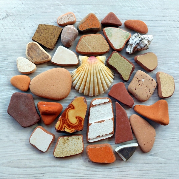 Sea Shell Tiles - Etsy