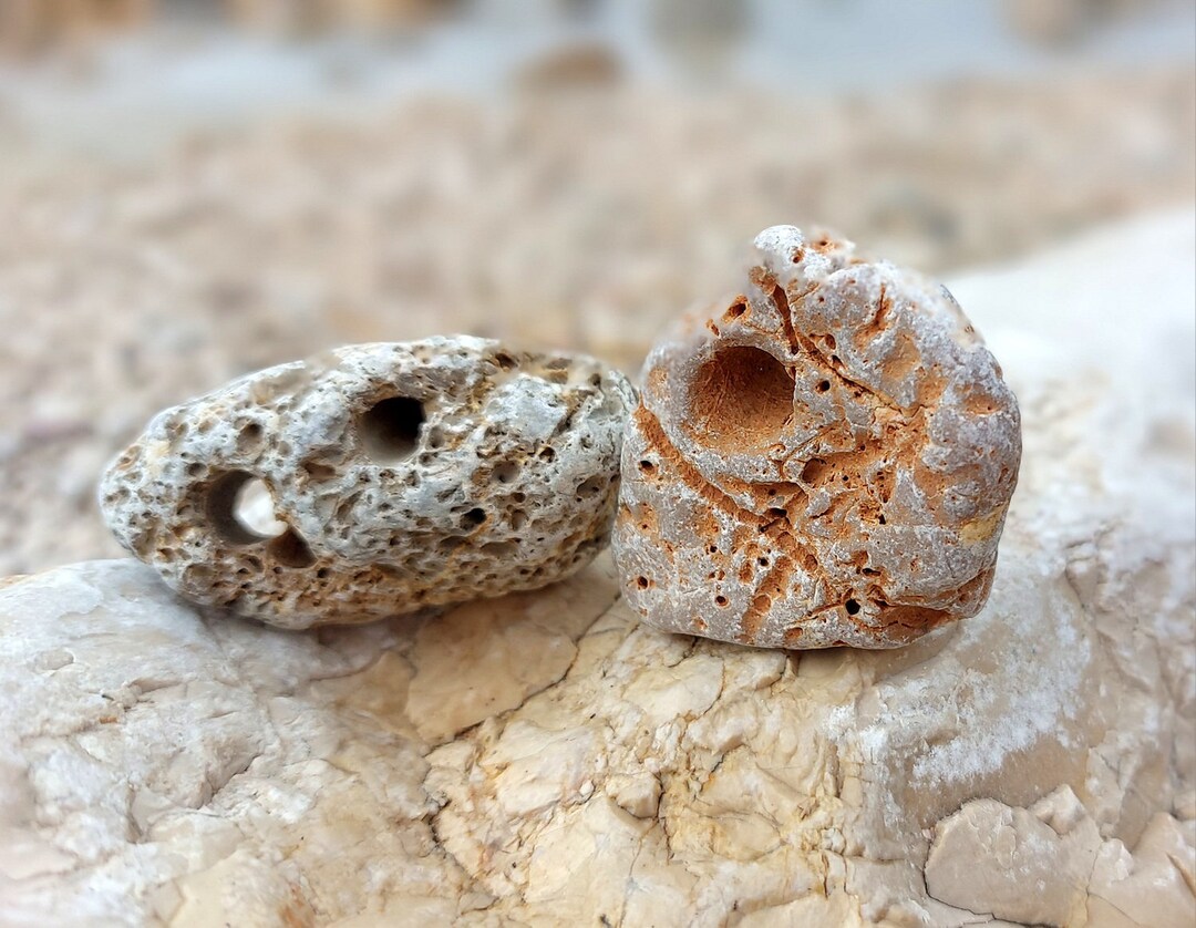 Beachcomber's Delight: Genuine Hag Stones From Croatia, Unique ...