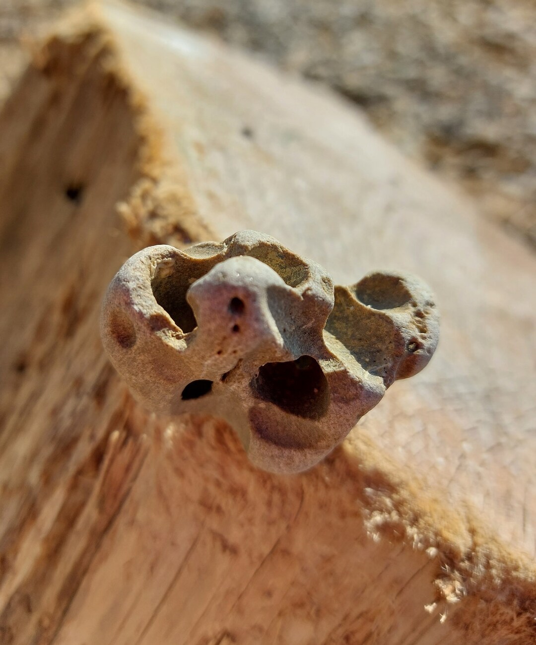 Odin's Secret: Rare Hag Stone With Natural Holes From Croatia's Beaches ...