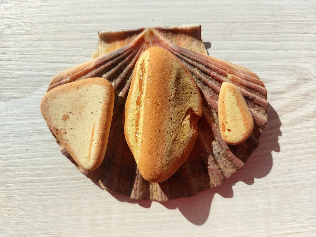 Vintage Terracotta Shell Art: Exquisite Croatian Mosaic Craftsmanship ...