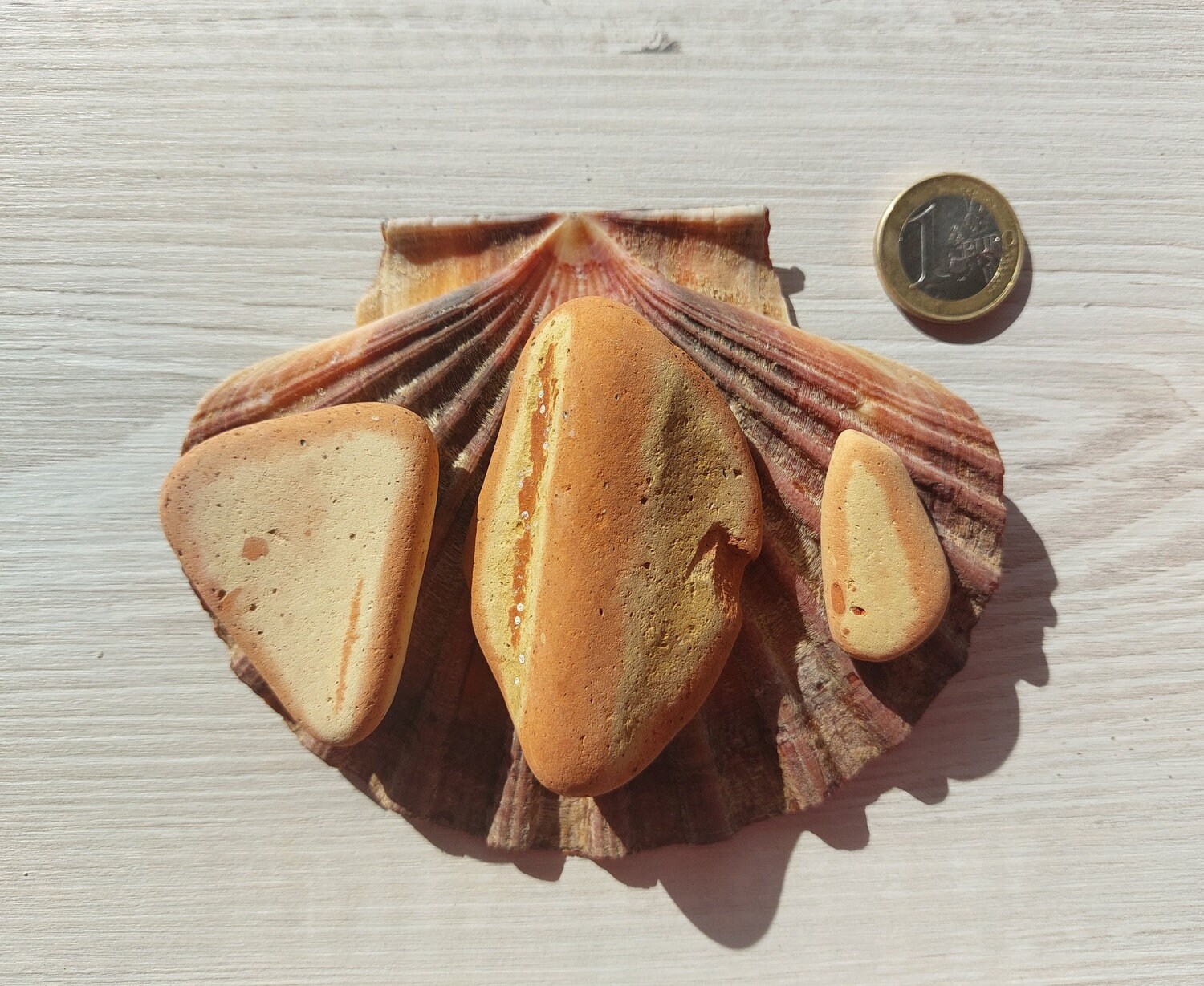 Genuine Unusual Sea Vintage Terracotta 3 Pcs Adriatic Sea Brick Sea ...