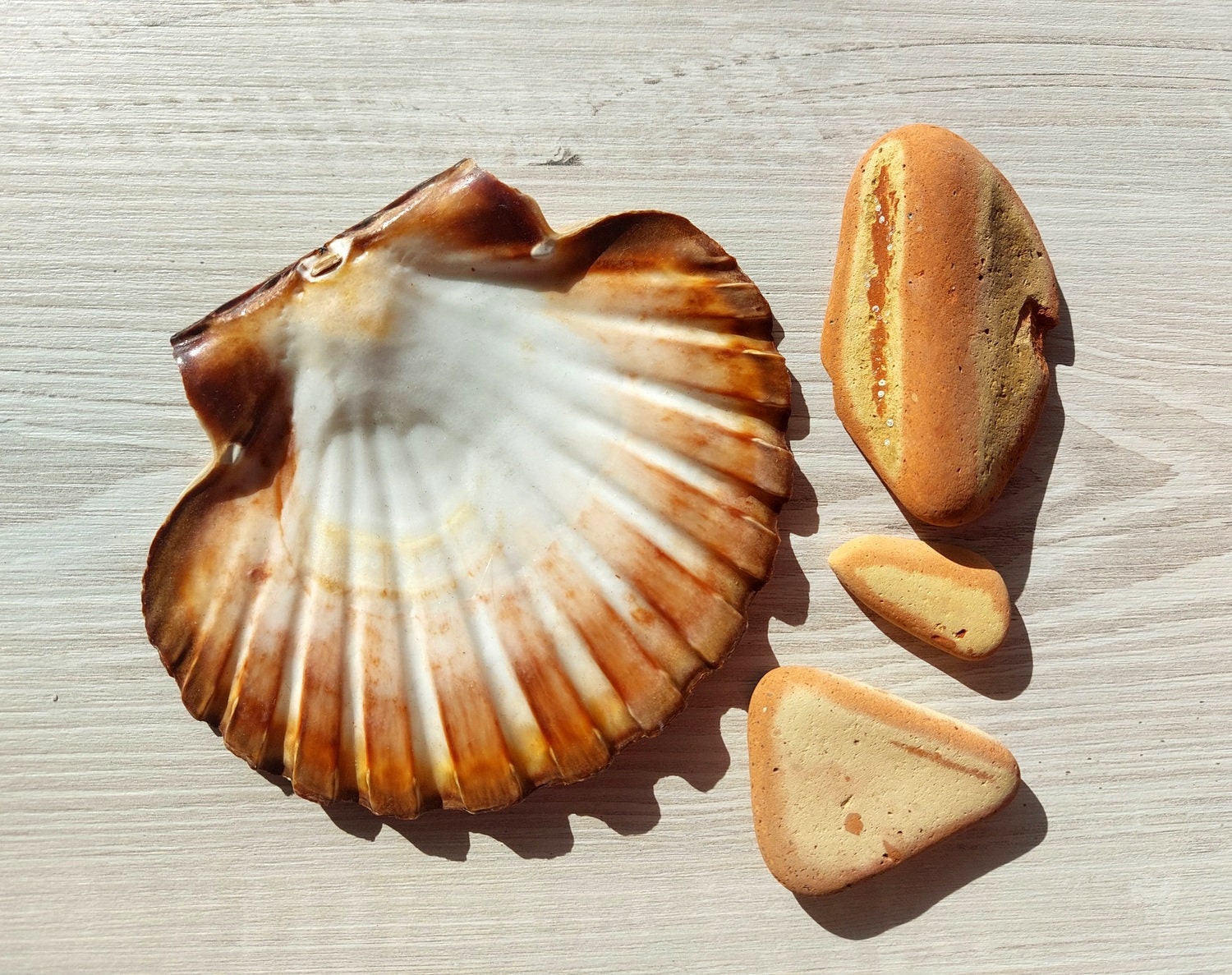 Vintage Terracotta Shell Art: Exquisite Croatian Mosaic Craftsmanship ...