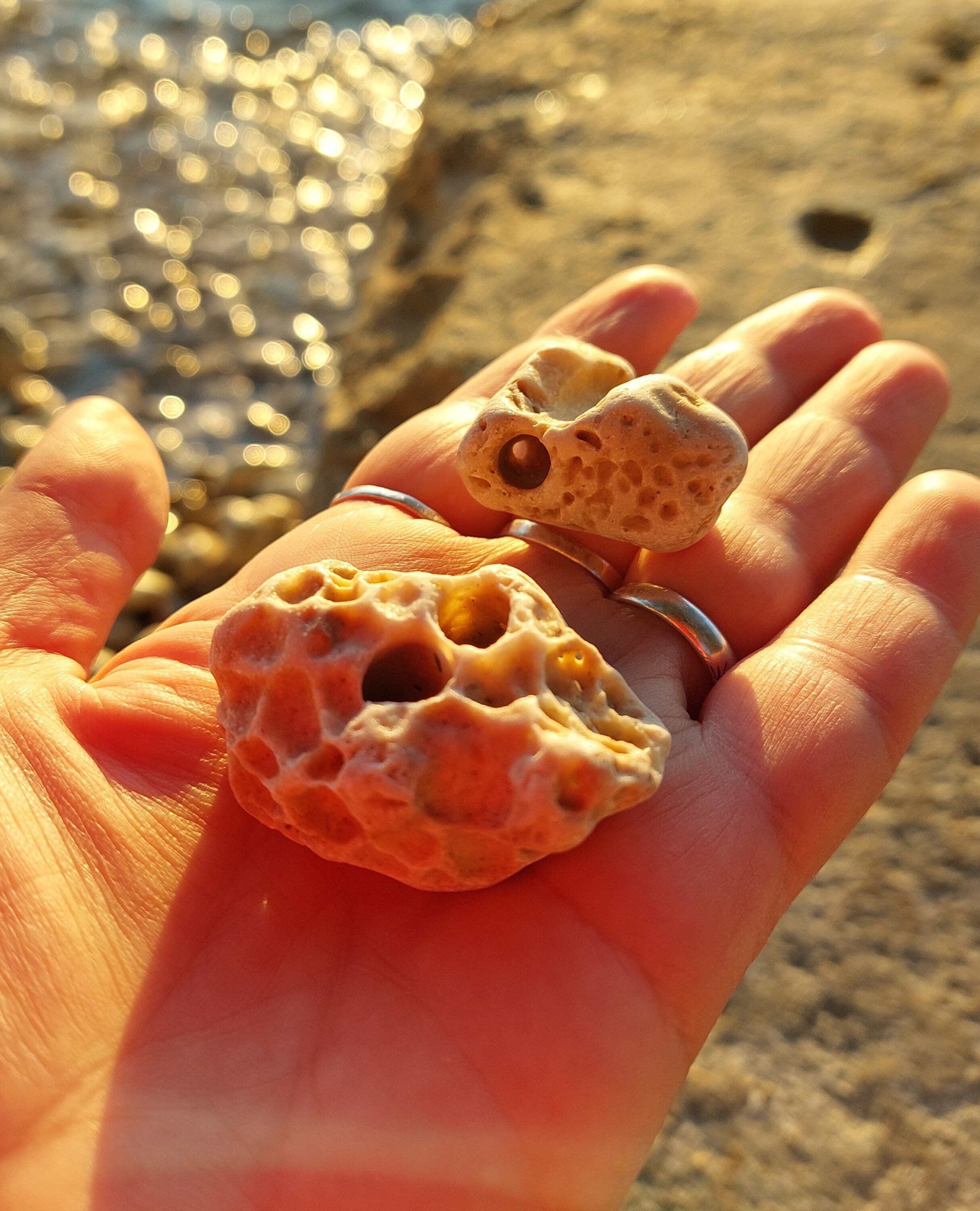 Beachcomber's Delight: Genuine Hag Stones From Croatia, Unique ...