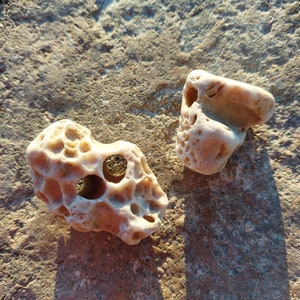 Beachcomber's Delight: Genuine Hag Stones From Croatia, Unique ...