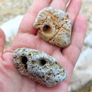 Beachcomber's Delight: Genuine Hag Stones From Croatia, Unique ...