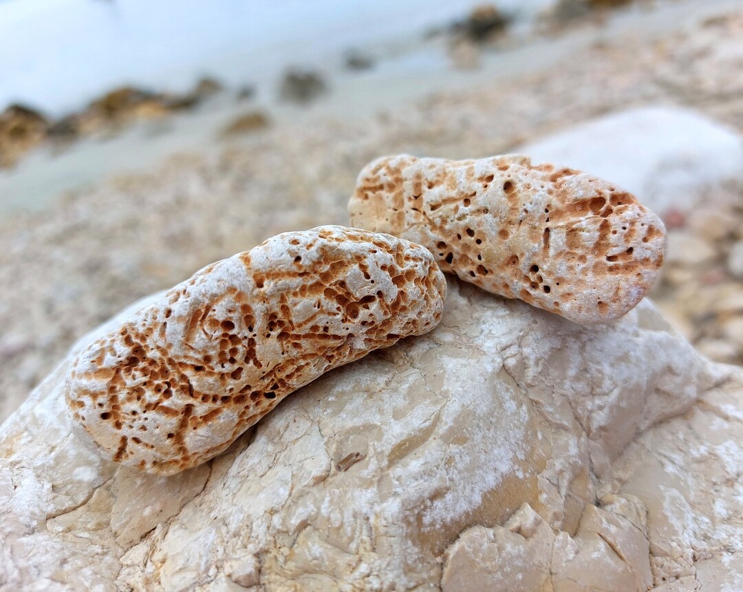 Sea Sandstone: Patterned Beach Stones, Croatian Art & Craft Supply - Etsy