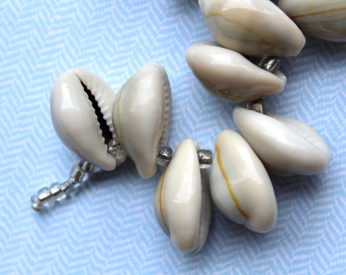 Strand of 20 Cowry Shells - Etsy