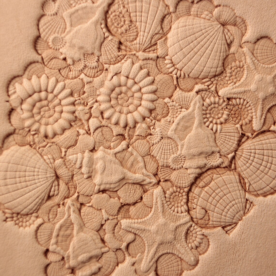 Tools for Leather Crafts. Stamp 429 the Shell - Etsy