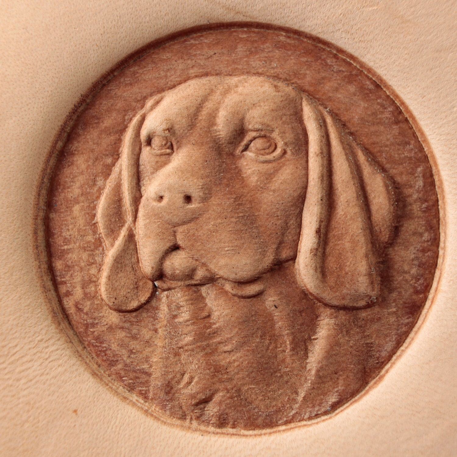 Tools for Leather Crafts. Stamp cliche 2 beagle Dog | Etsy