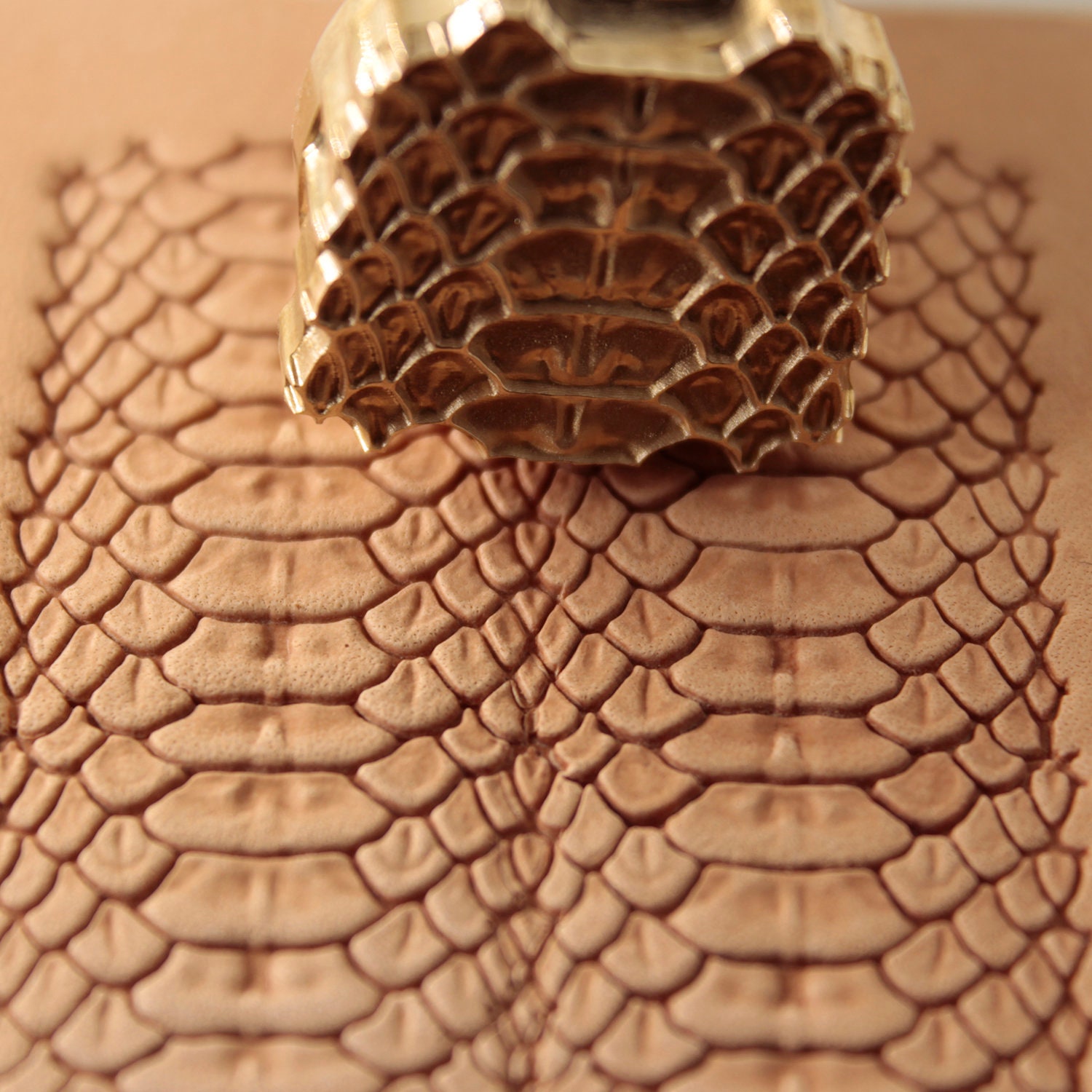 Tools for Leather Crafts. Stamp #395B - Python Skin - Etsy