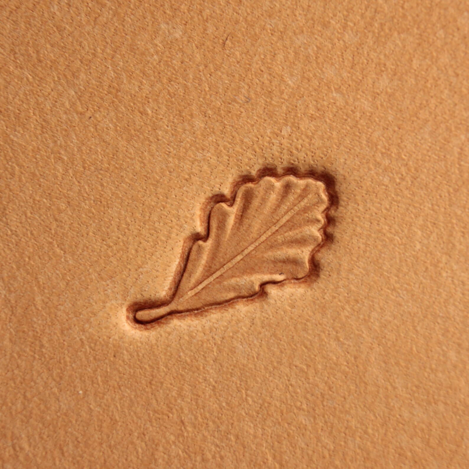 Tools for Leather Crafts. Stamp #499 - Oak Leaf - Etsy