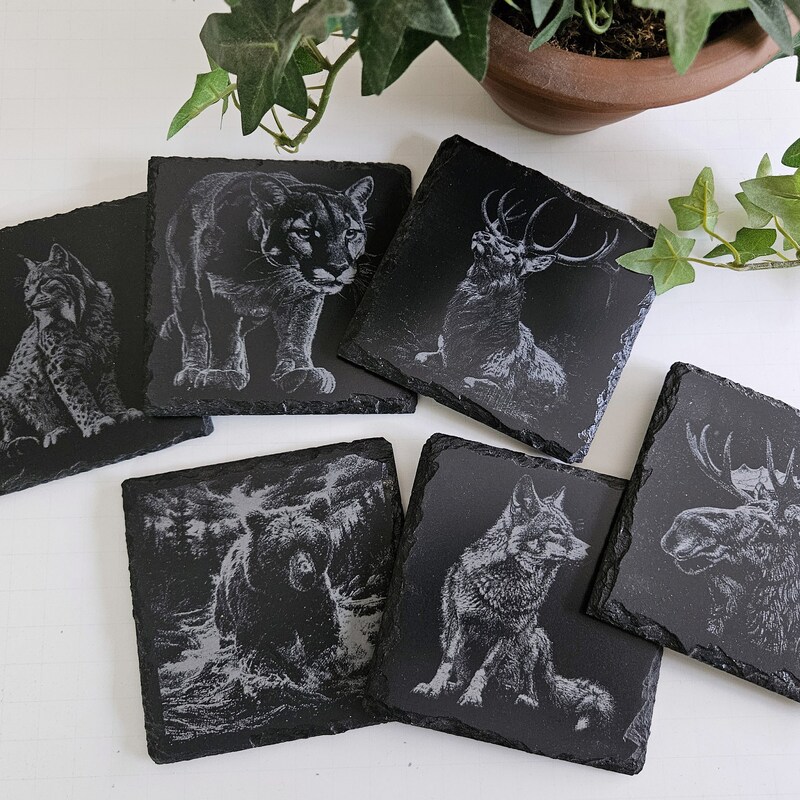 Animal Coasters - Etsy