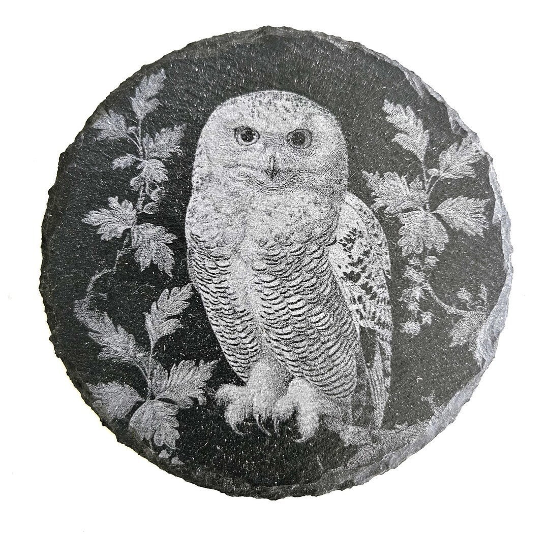 Laser Engraved Slate Owl Coasters: Set of 6, Horned & Snowy Owl - Etsy