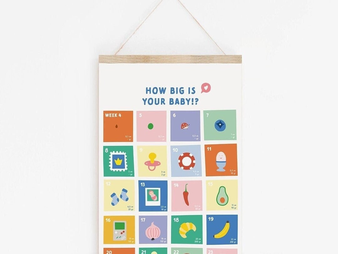 Pregnancy Baby Countdown Calendar | Pregnancy Calendar | How Big is ...