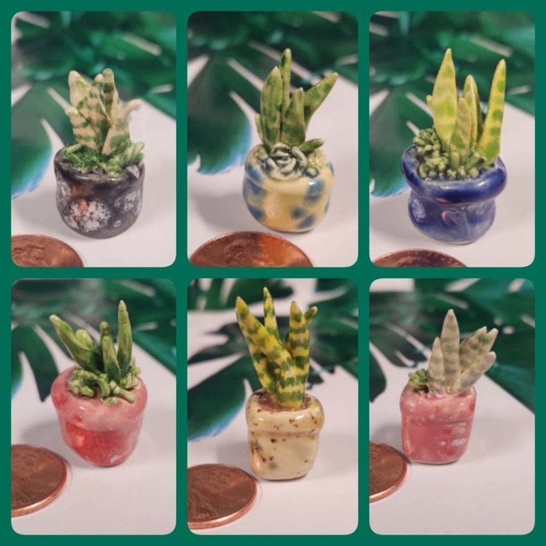 Handmade Pottery Succulent/ Snake Plant/ Sansevieria/ Moss in - Etsy